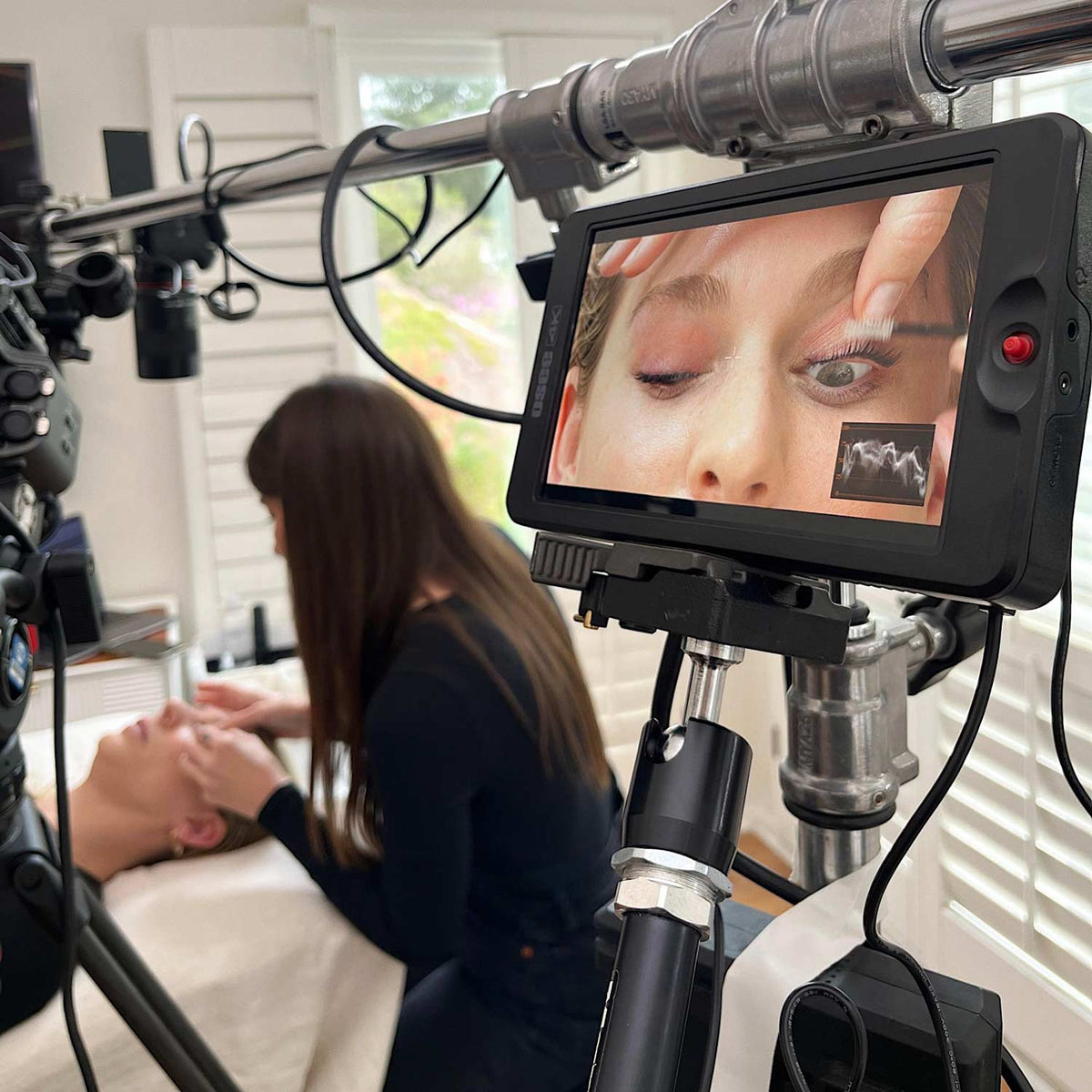 Sarah Maxwell Academy Video Lesson: Tinting on the Shield – Sarah ...